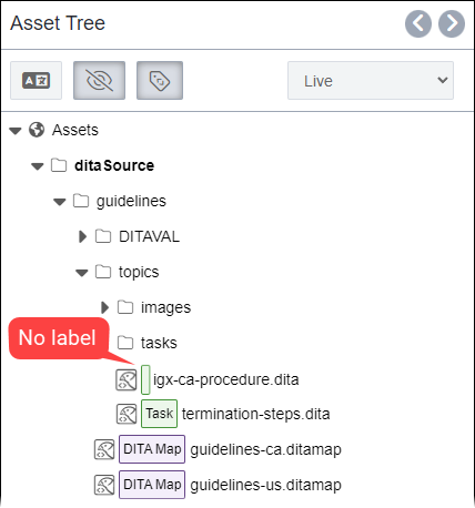 CMS 10.6.308: Missing Document Type Label for DITA Files with Custom DTDs